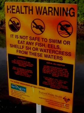 Myth: Dams are good for the environment – Freshwater for life